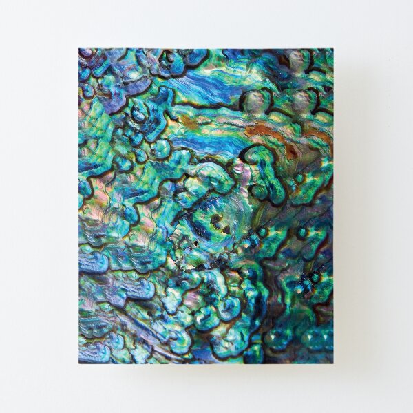 "Polished Paua Abalone Shell, Abstract Paua Abalone Shell Texture ...