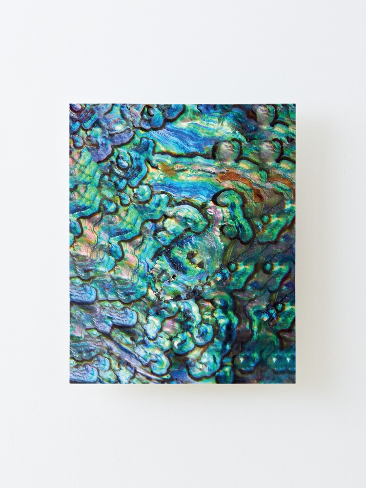 "Polished Paua Abalone Shell, Abstract Paua Abalone Shell Texture ...