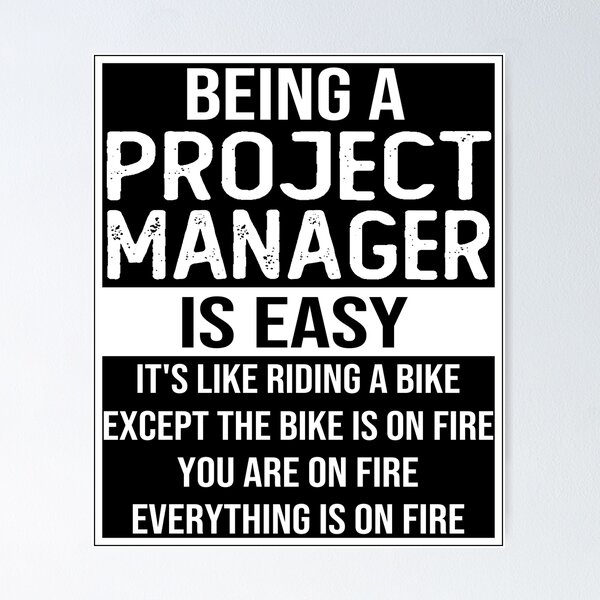 "Funny Project Manager saying: being a Project Manager is easy Project ...