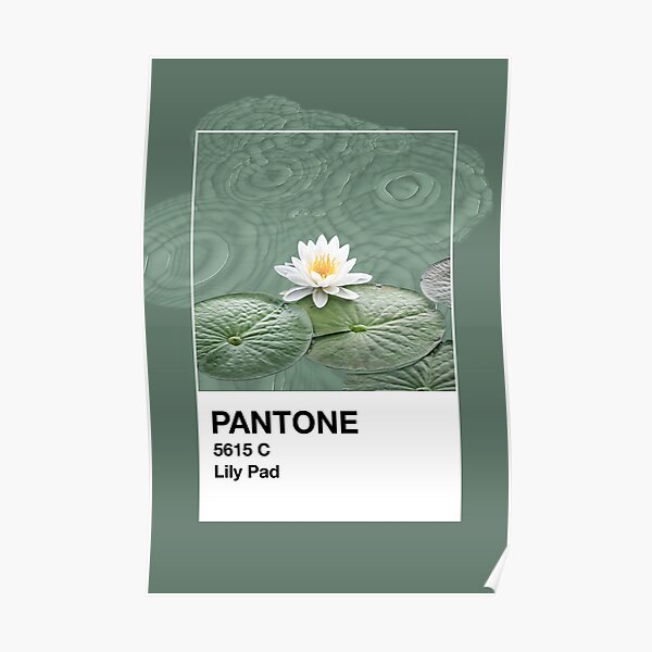 "Pantone Lily Pad" Poster for Sale by clairedause | Redbubble