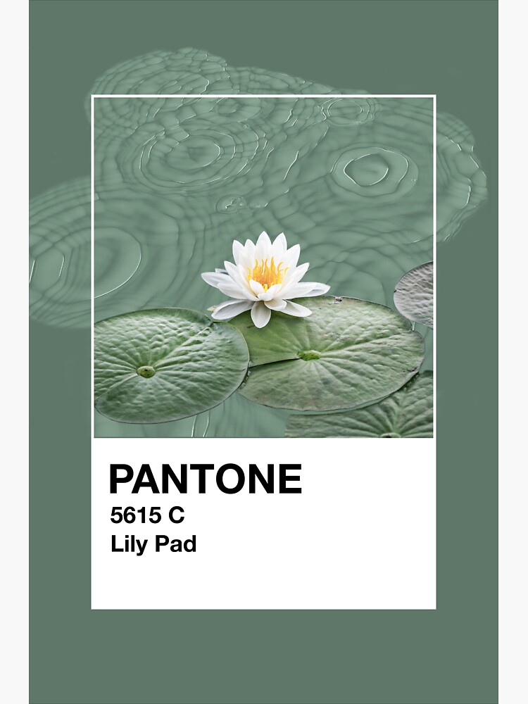 "Pantone Lily Pad" Sticker for Sale by clairedause | Redbubble