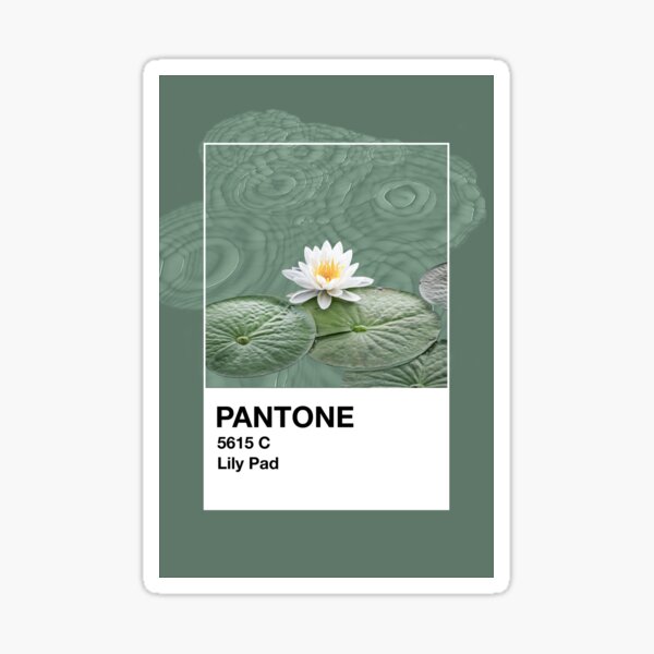"Pantone Lily Pad" Sticker for Sale by clairedause | Redbubble
