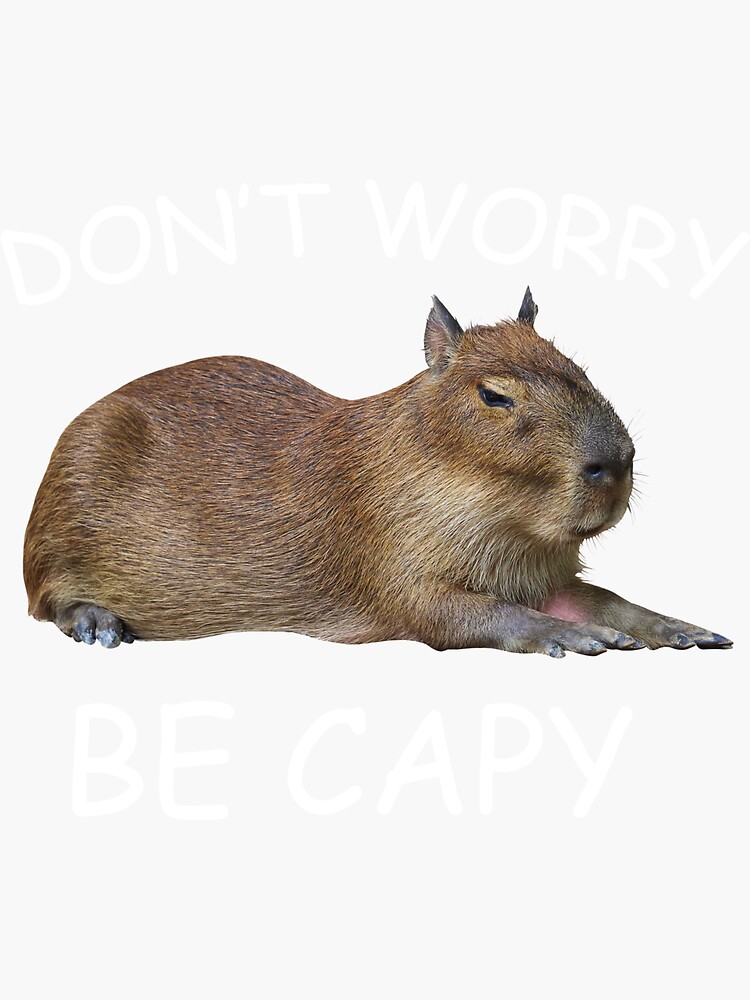 "Capybara Dont Worry Be Capy Funny Rodent Big Rat" Sticker for Sale by ...