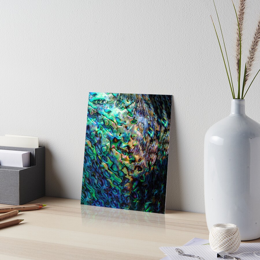 "Polished Paua Abalone Shell, Abstract Paua Abalone Shell Texture ...