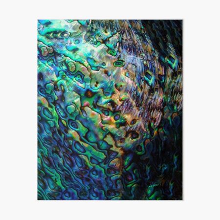 "Polished Paua Abalone Shell, Abstract Paua Abalone Shell Texture ...