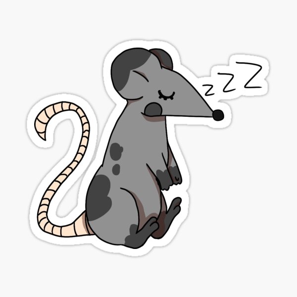 "Sleeping black rat" Sticker for Sale by VokkiSparkz | Redbubble