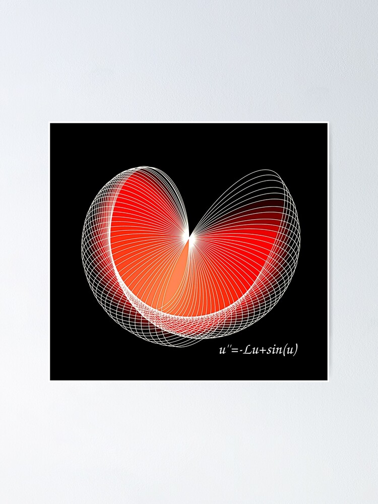 "differential equations" Poster for Sale by artesilenciosa | Redbubble