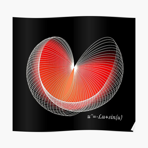 "differential equations" Poster for Sale by artesilenciosa | Redbubble