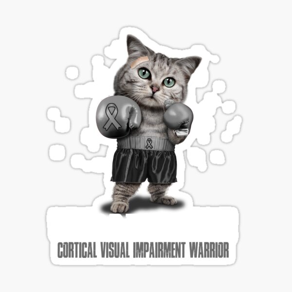 "Cortical Visual Impairment Warrior - I Battle Cortical Visual ...