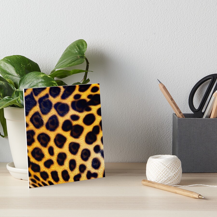 "Leopard Print Is One of the Most Classic and Timeless Prints. It’s a Very Popular Theme and ...