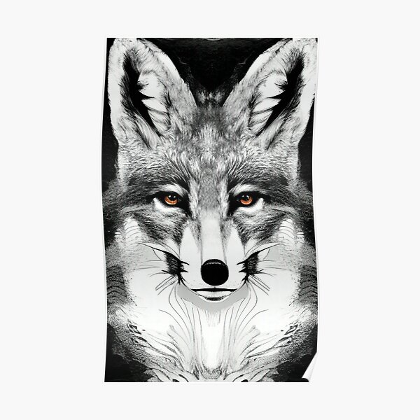 "Black And White Fox" Poster for Sale by Decorative-Arts | Redbubble