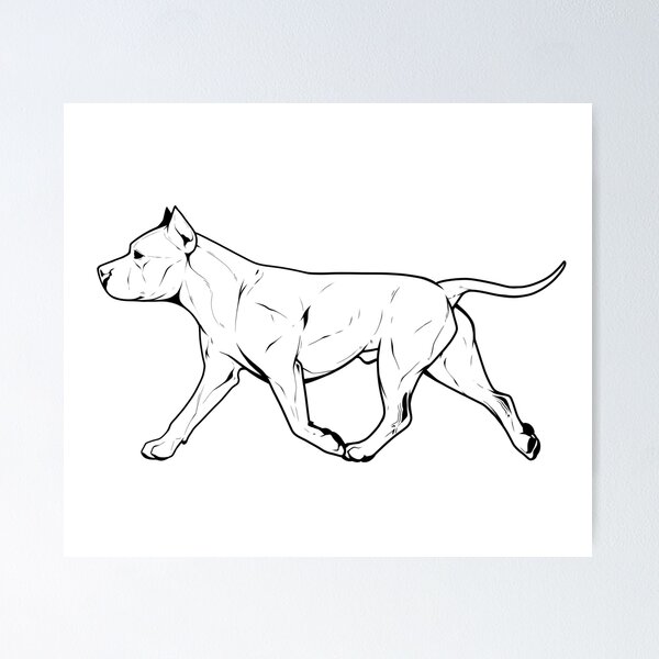 "AmStaff movement" Poster for Sale by contentmastiff | Redbubble