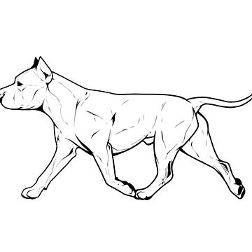 "AmStaff movement" Poster for Sale by contentmastiff | Redbubble