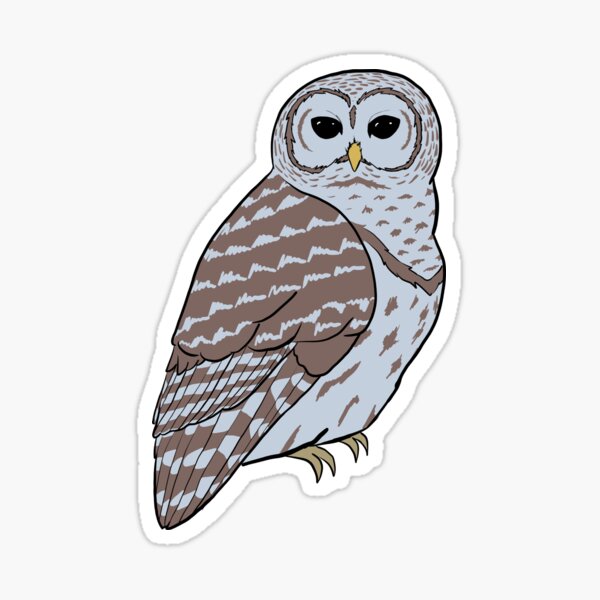 "Barred Owl" Sticker for Sale by Milotickle | Redbubble