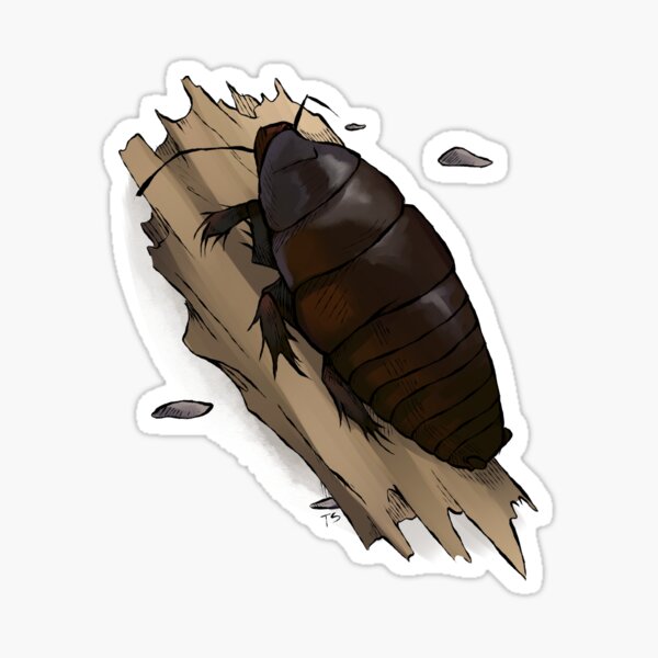 "Cockroach (:" Sticker for Sale by TerrifiedSpider | Redbubble