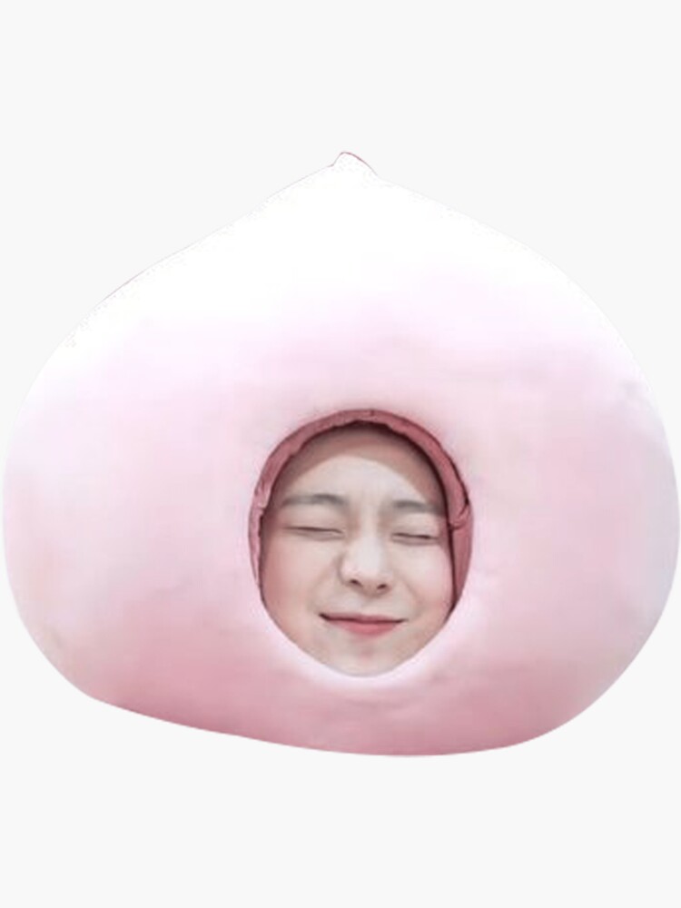 Peach Sunoo Enhypen Sticker For Sale By Jayiee Redbubble
