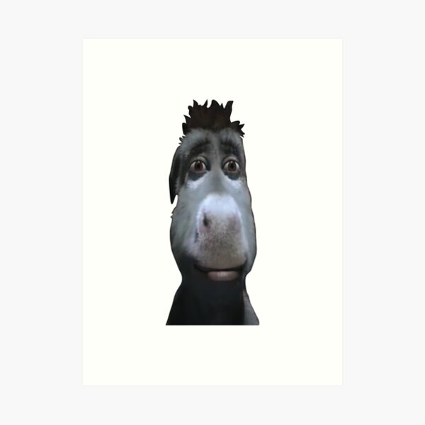"donkey stare meme, donkey lightskin stare meme, lightskin stare rizz ...