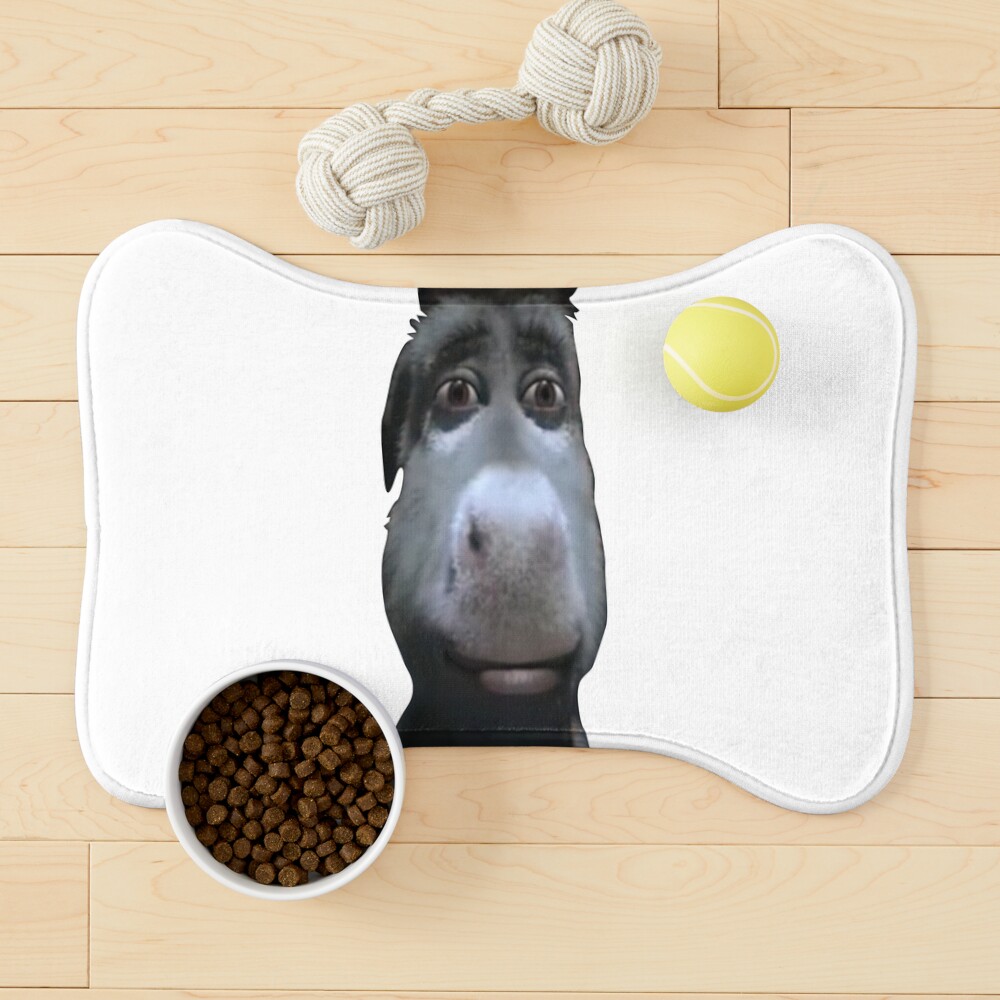 "donkey stare meme, donkey lightskin stare meme, lightskin stare rizz ...