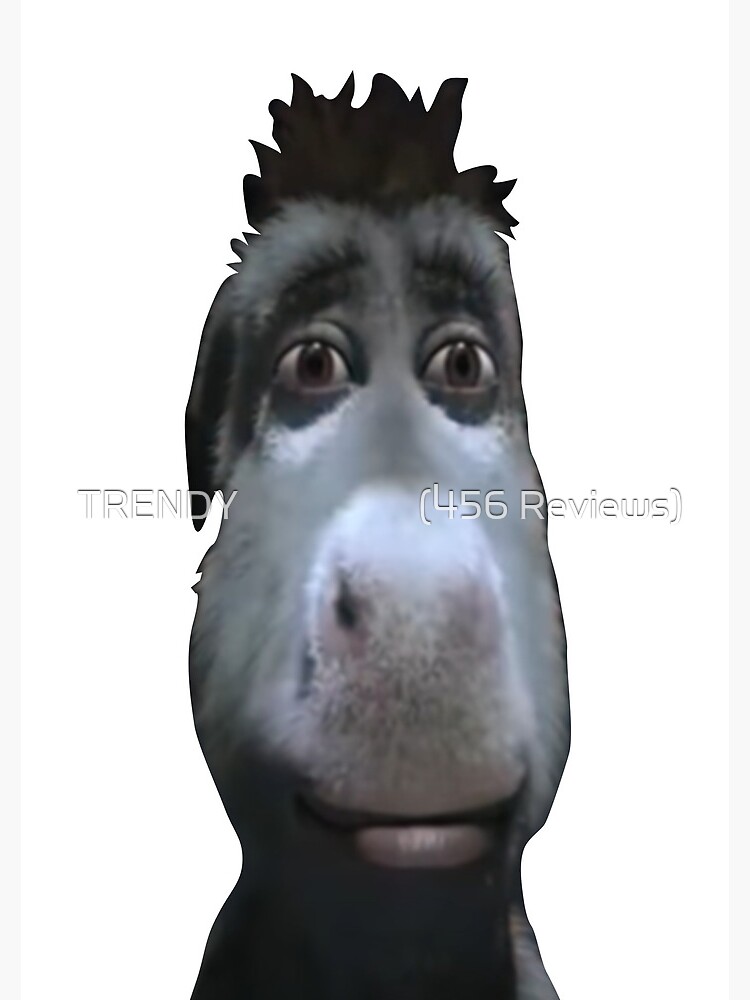 "donkey stare meme, donkey lightskin stare meme, lightskin stare rizz ...