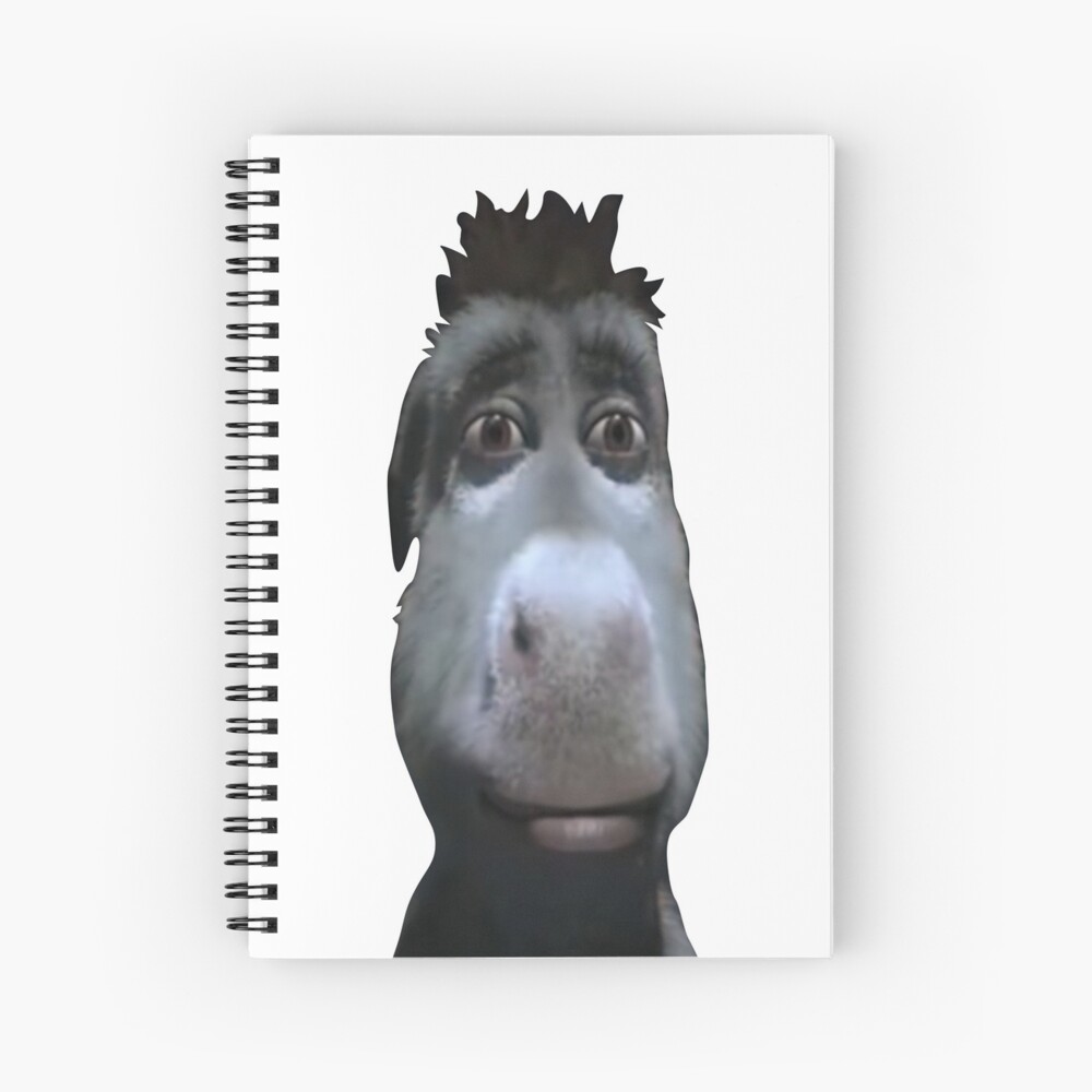 "donkey stare meme, donkey lightskin stare meme, lightskin stare rizz ...