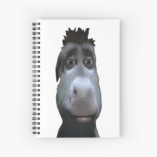 "donkey stare meme, donkey lightskin stare meme, lightskin stare rizz ...