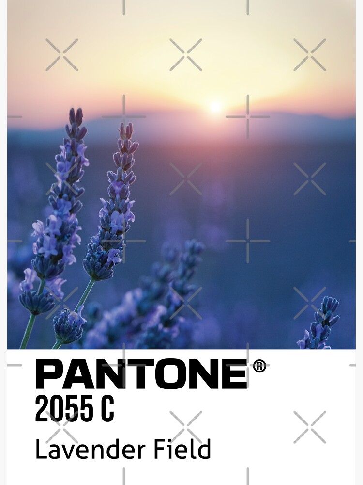 "Pantone Lavender Field" Sticker for Sale by HichamMissiame | Redbubble