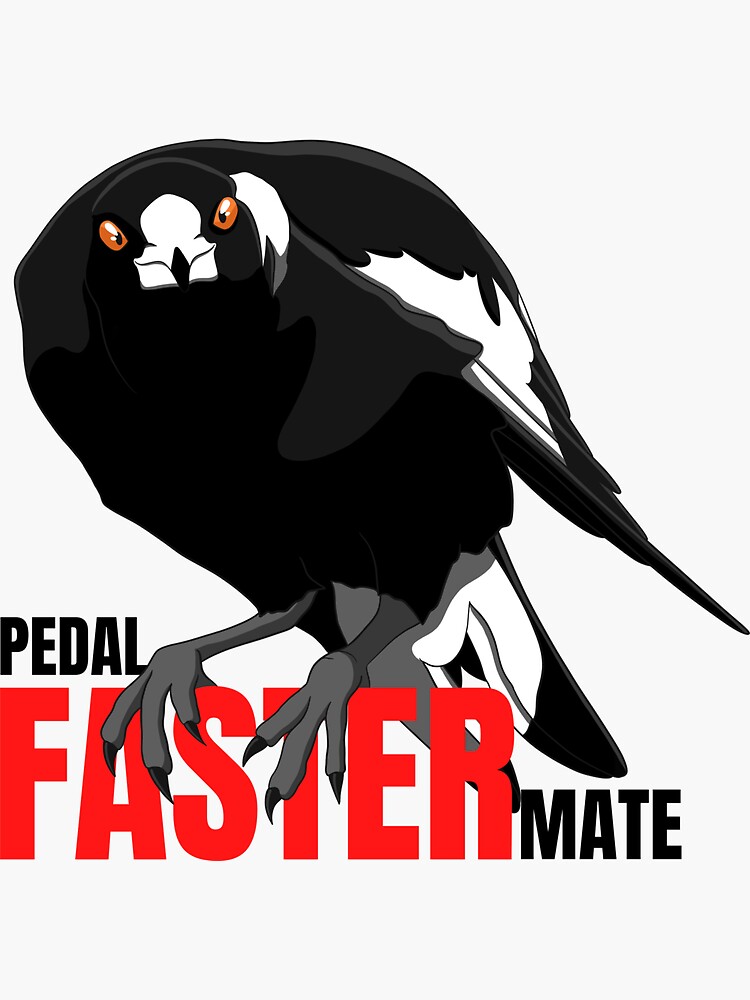 "Pedal faster mate, magpie swooping season" Sticker for Sale by ...