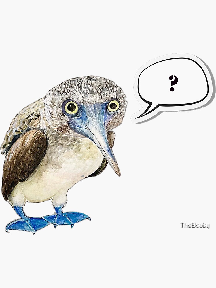 "Question mark (puzzled booby / puzzled bird) " Sticker for Sale by ...