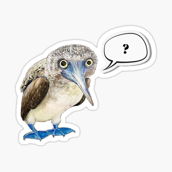 "Question mark (puzzled booby / puzzled bird) " Sticker for Sale by ...