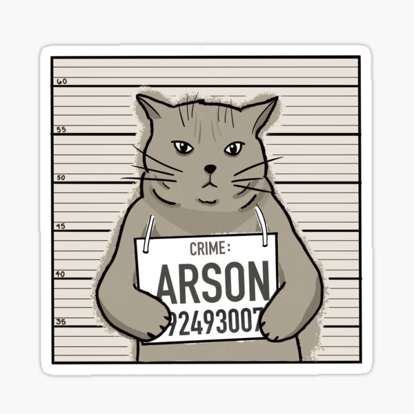 "Funny cat criminal arson mugshot" Sticker for Sale by Sydscriv | Redbubble