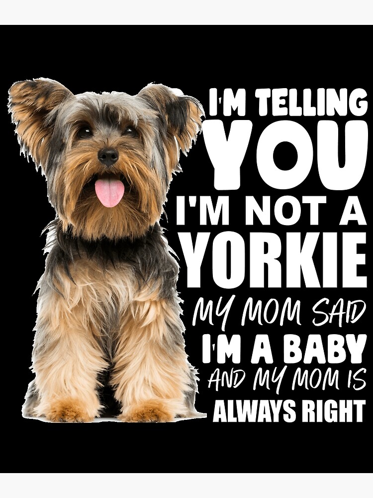 "Funny Yorkie Puppy Sayings, I'm Tellling You I'm Not A Yorkie, My Mom ...