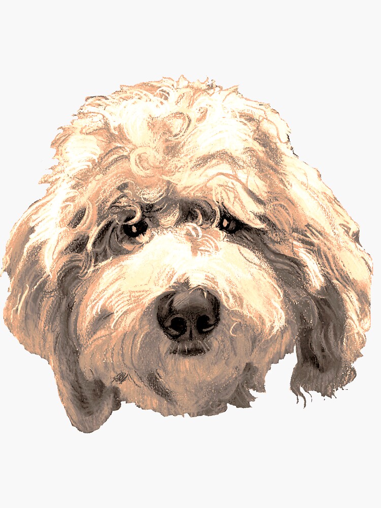 "Lucky Labradoodle Face ~ Golden" Sticker for Sale by Jane Oriel ...