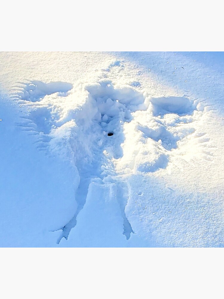 "A Chicken Snow Angel" Sticker for Sale by tambam70 | Redbubble