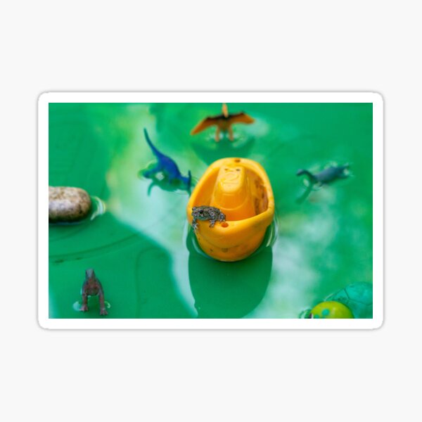 "Frog Sailing" Sticker for Sale by ashlynngreen | Redbubble