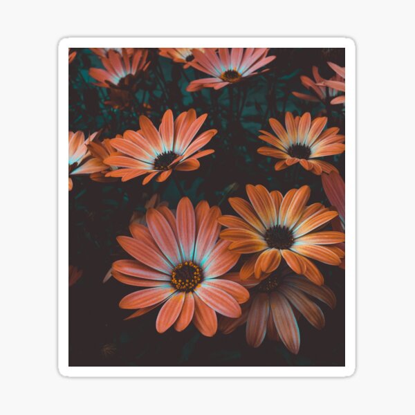 "Orange flowers" Sticker for Sale by Acreatess | Redbubble
