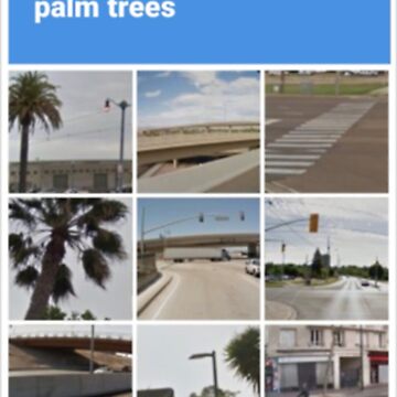 "online captcha palm trees" Graphic T-Shirt for Sale by arts2you ...