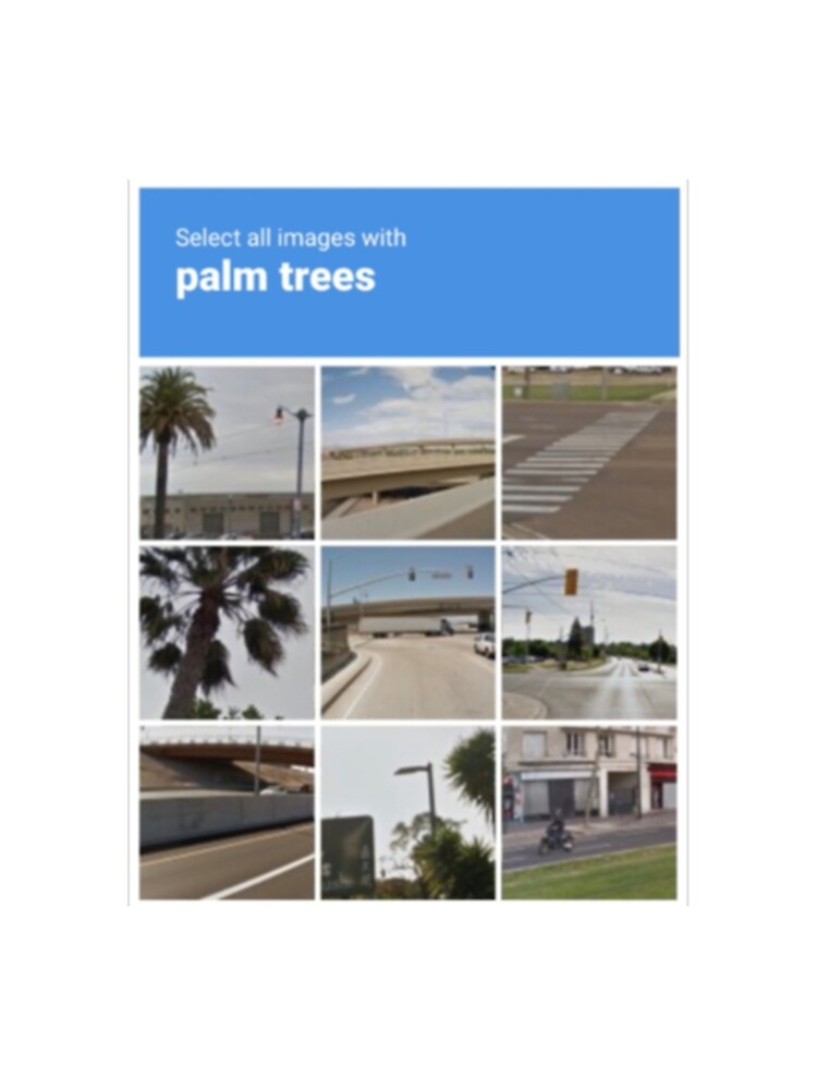 "online captcha palm trees" Graphic T-Shirt for Sale by arts2you ...