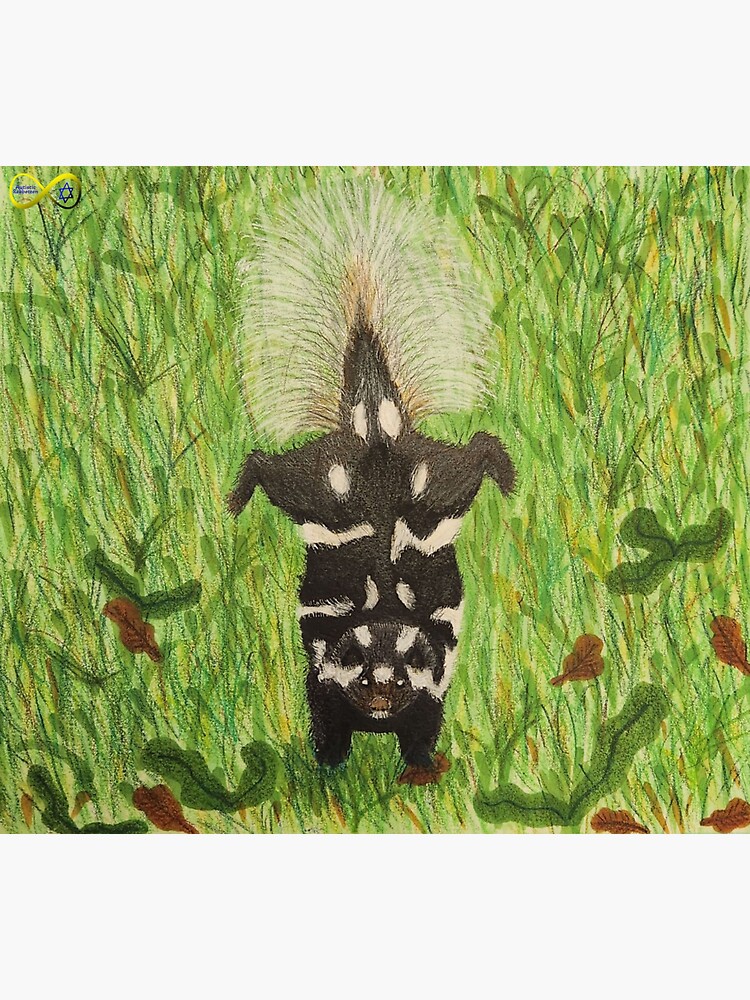 "Agasa Misty the spotted skunk" Sticker for Sale by Autie-Rebbetzen ...