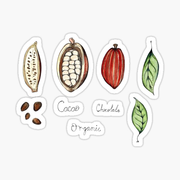 "Watercolor cacao set" Sticker for Sale by FuzzyLogicKate | Redbubble