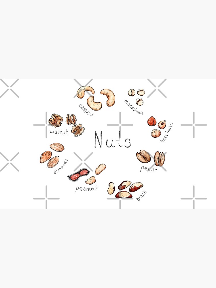 "Watercolor set of nuts with lettering" Poster for Sale by ...