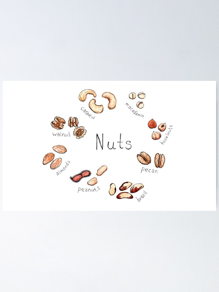 "Watercolor set of nuts with lettering" Poster for Sale by ...