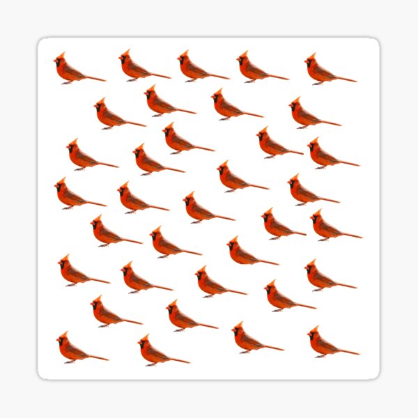 "Many cute and colorful Cardinal birds" Sticker for Sale by ...