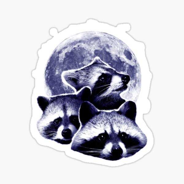 "Trio Raccoons ON Moon Cute Raccoons" Sticker for Sale by YukieR ...