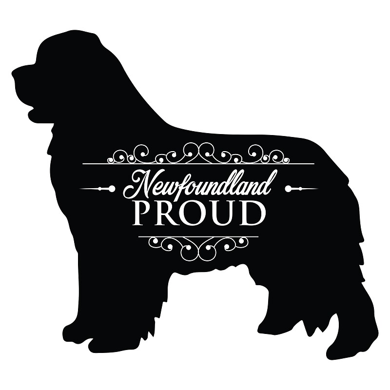 "Proud Newfoundland Owner!" by Christine Mullis | Redbubble