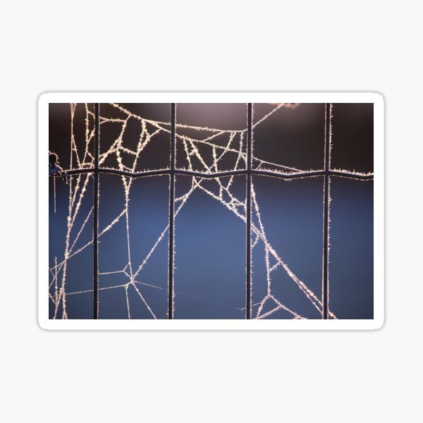 "Abstract Winter Frost Patterns" Sticker for Sale by Imladris01 | Redbubble