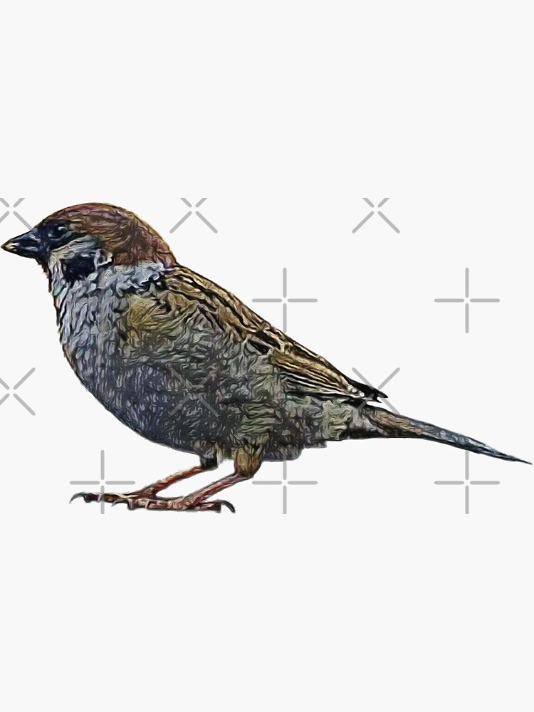 "sparrow" Sticker for Sale by slikar | Redbubble
