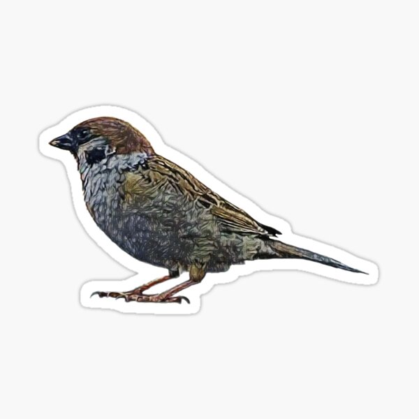"sparrow" Sticker for Sale by slikar | Redbubble