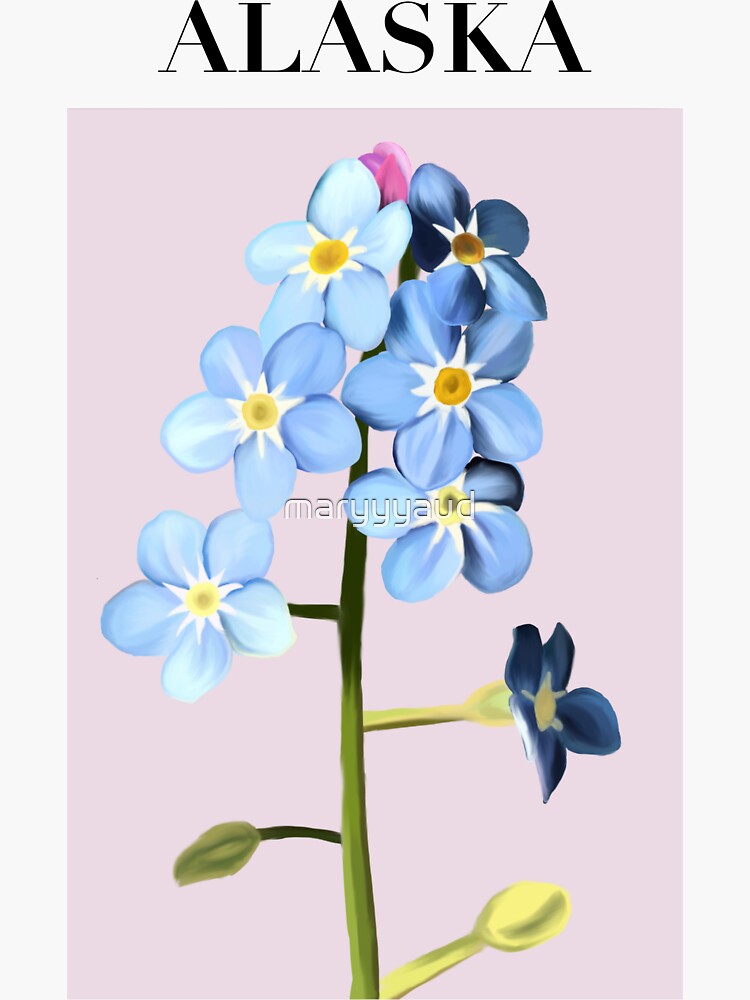 "Alaska- State Flower, Flower Market Sticker, Alpine Forget-Me-Not ...