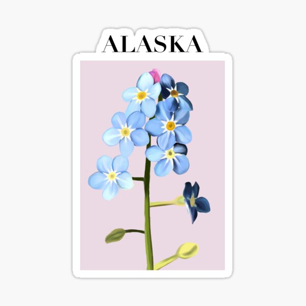 "Alaska- State Flower, Flower Market Sticker, Alpine Forget-Me-Not ...