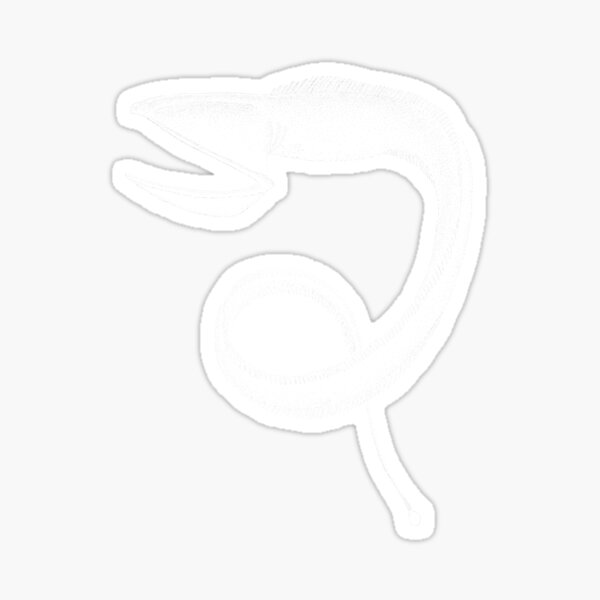 "Gulper Eel Illustration" Sticker for Sale by Drawinism | Redbubble